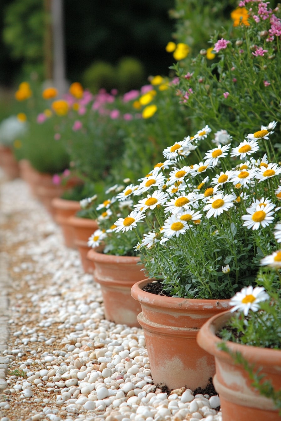 20 Flower Bed Edging Ideas (Low-Cost, High Impact)